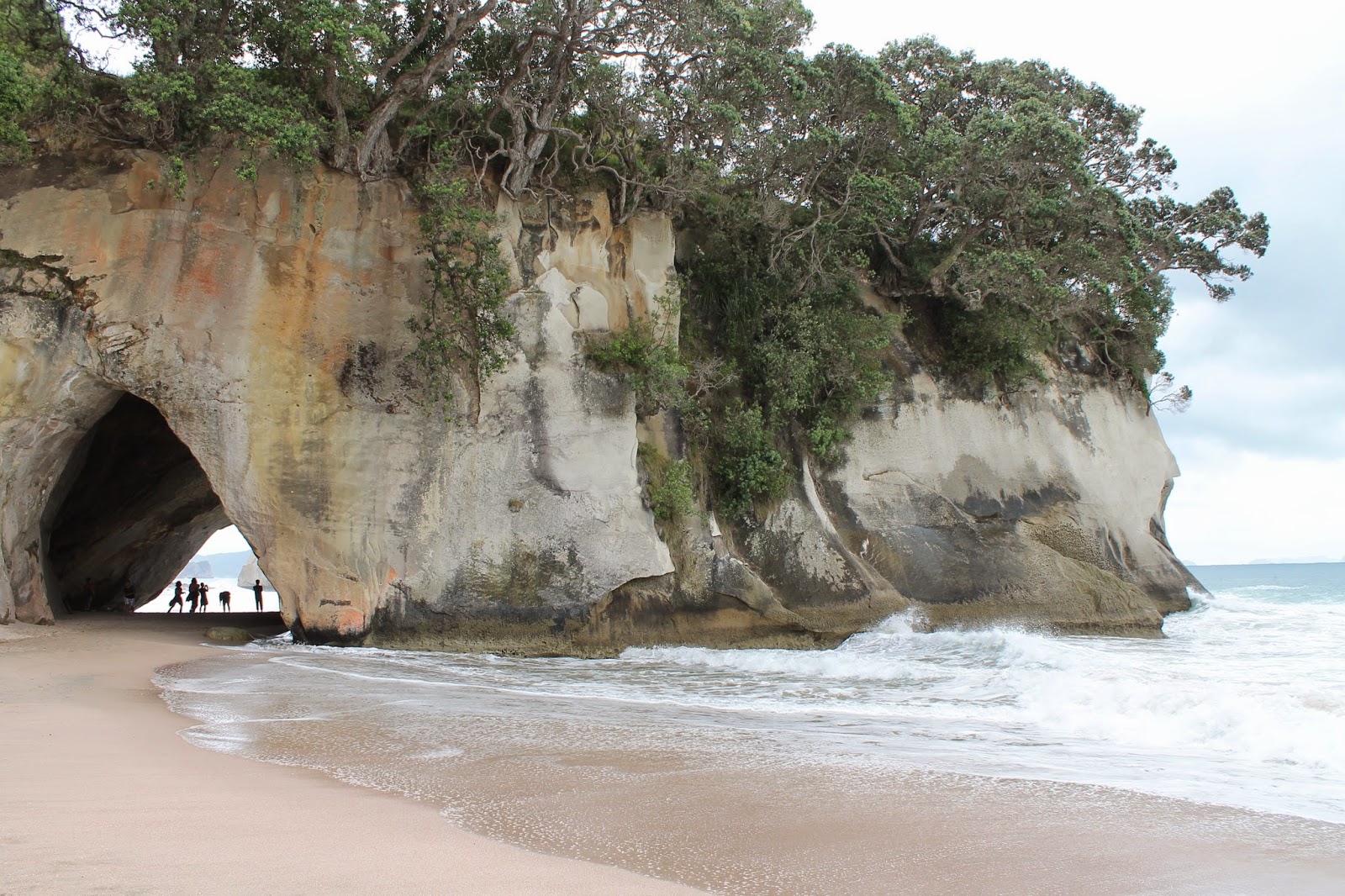 La Péninsule de Coromandel: Un air de Méditerranée en bord de Pacifique ...