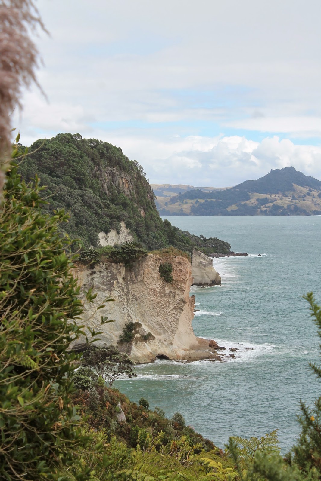 La Péninsule de Coromandel: Un air de Méditerranée en bord de Pacifique ...