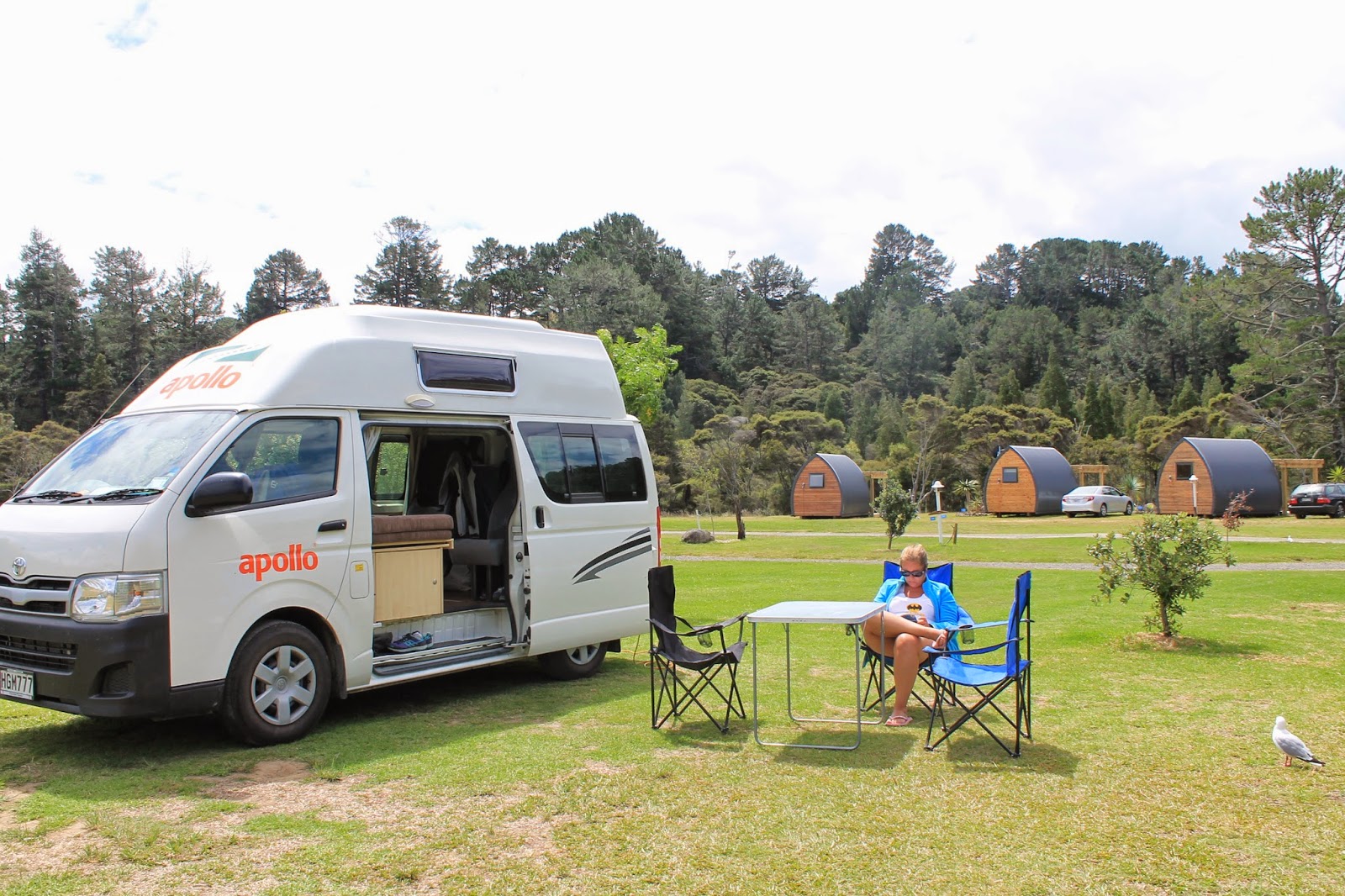 La Péninsule de Coromandel: Un air de Méditerranée en bord de Pacifique ...