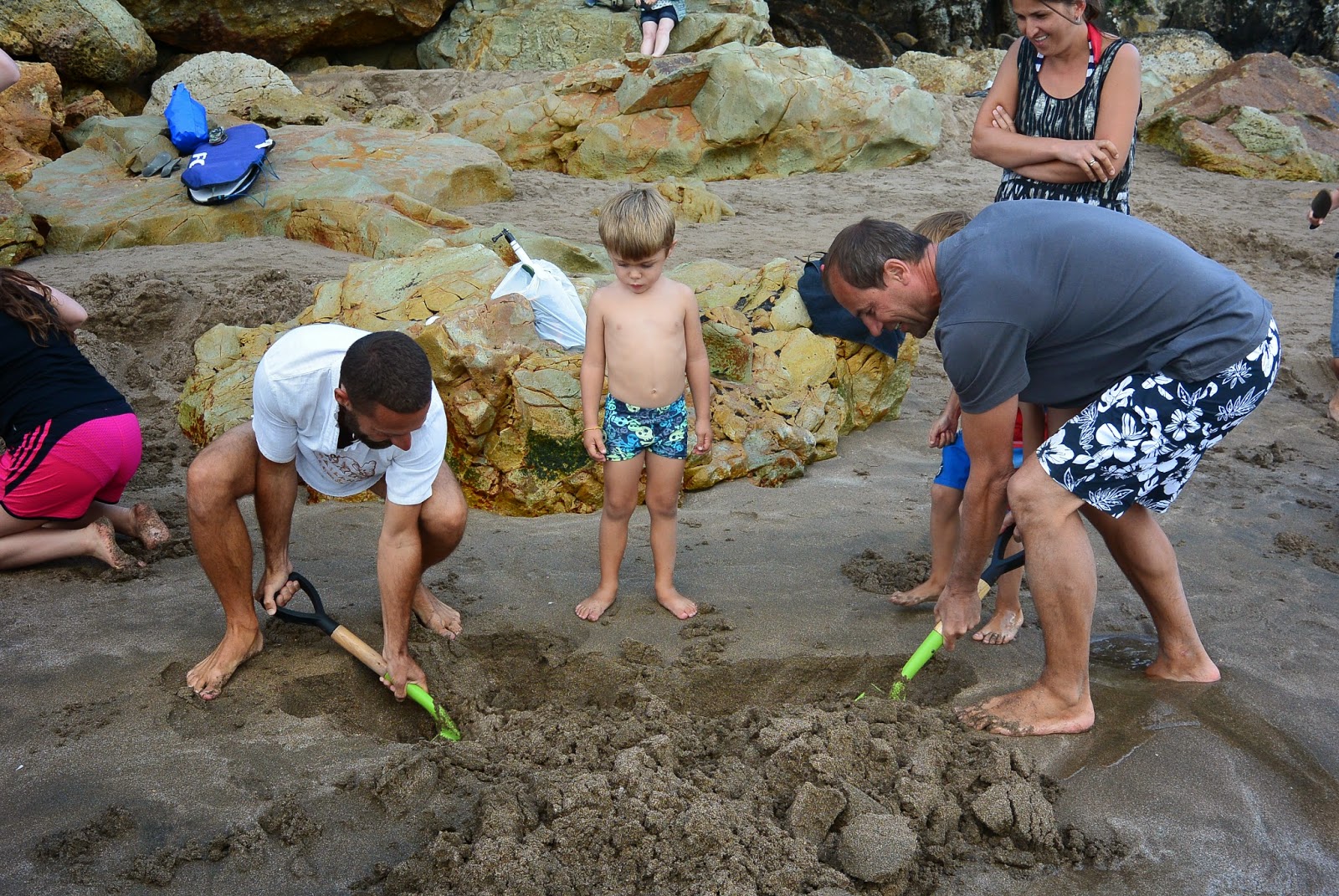 La Péninsule de Coromandel: Un air de Méditerranée en bord de Pacifique ...