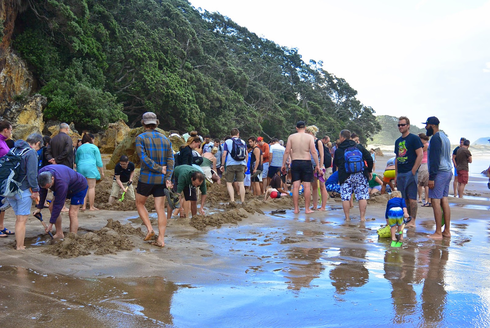 La Péninsule de Coromandel: Un air de Méditerranée en bord de Pacifique ...